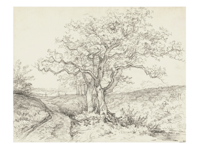 Vintage Drawings | Sketches – Heirloom Print Shop