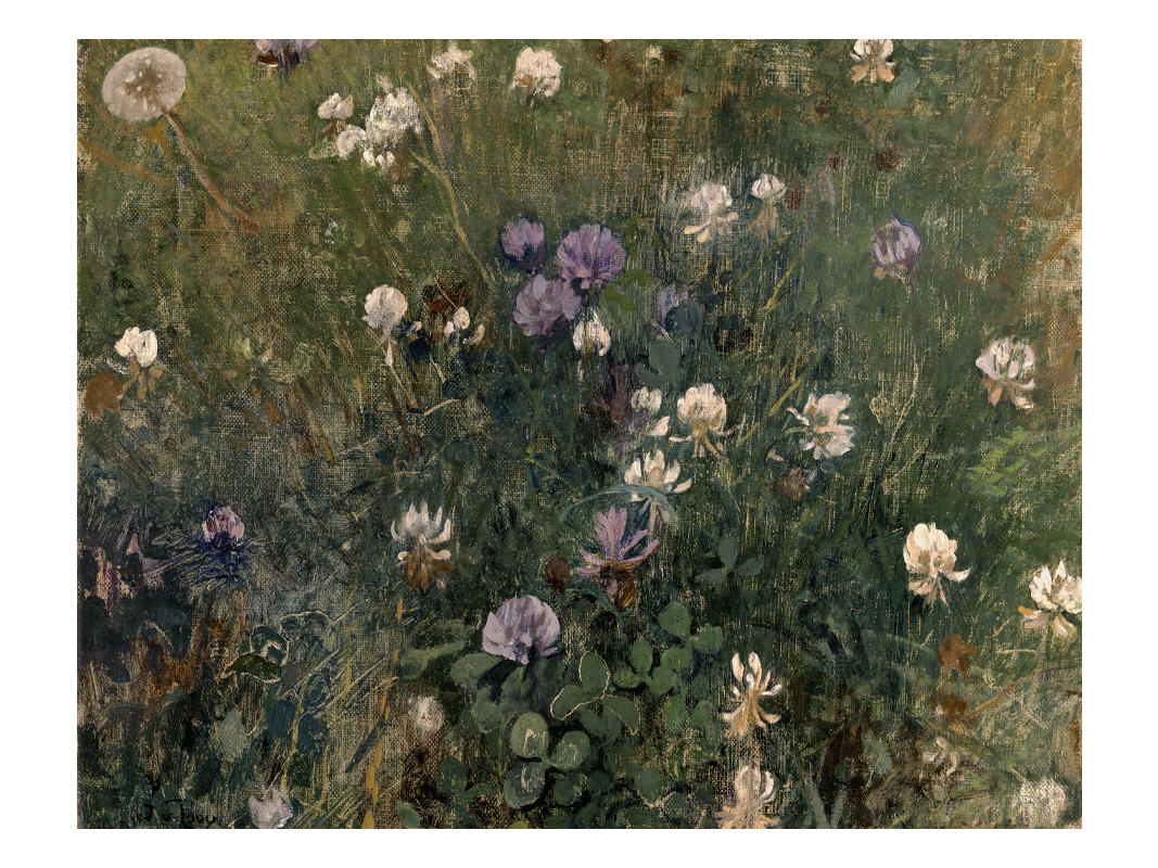 Antique Flower Drawings Canvas And Paper Vintage Floral Art Print For