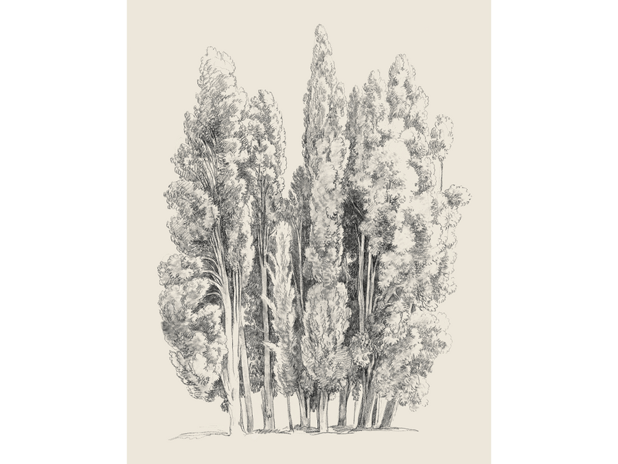 Vintage Drawings | Sketches – Heirloom Print Shop