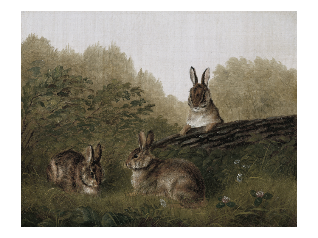 Rabbits – Heirloom Print Shop