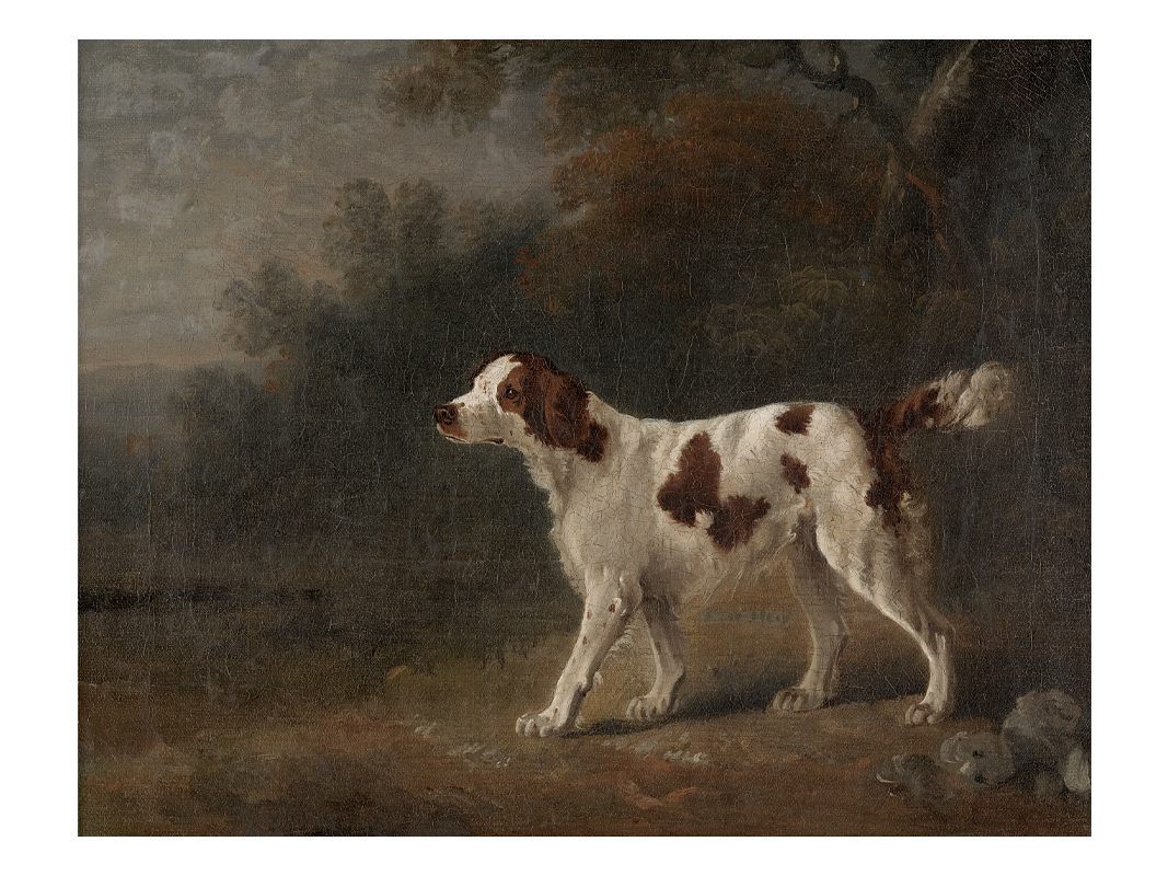 Setter – Heirloom Print Shop