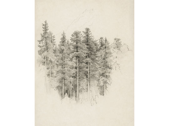 Vintage Drawings | Sketches – Heirloom Print Shop