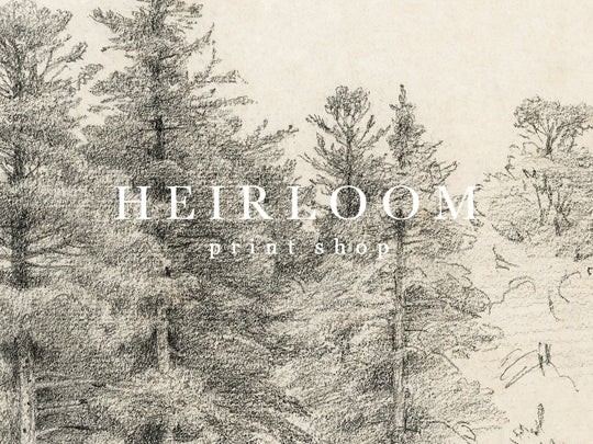 Study of Trees – Heirloom Print Shop