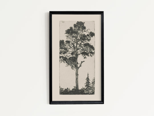 Vintage Drawings | Sketches – Heirloom Print Shop